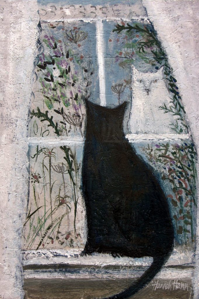 Look Out Look In - Hannah Hann